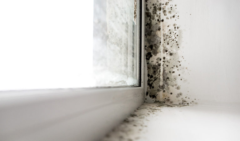 Commercial Building Water Damage: Causes, Prevention, And Solutions